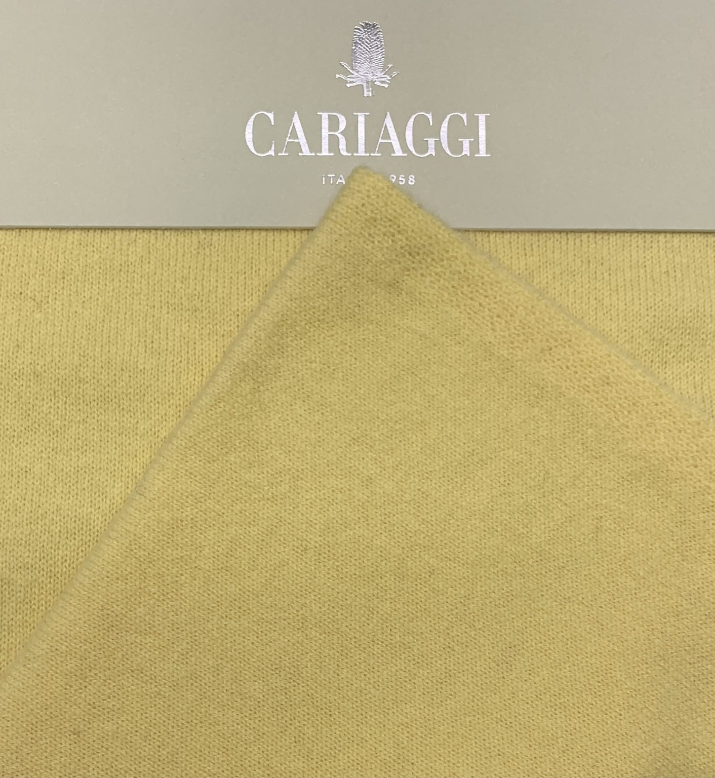 Cariaggi presenta la nuova collezione - The Style Lift